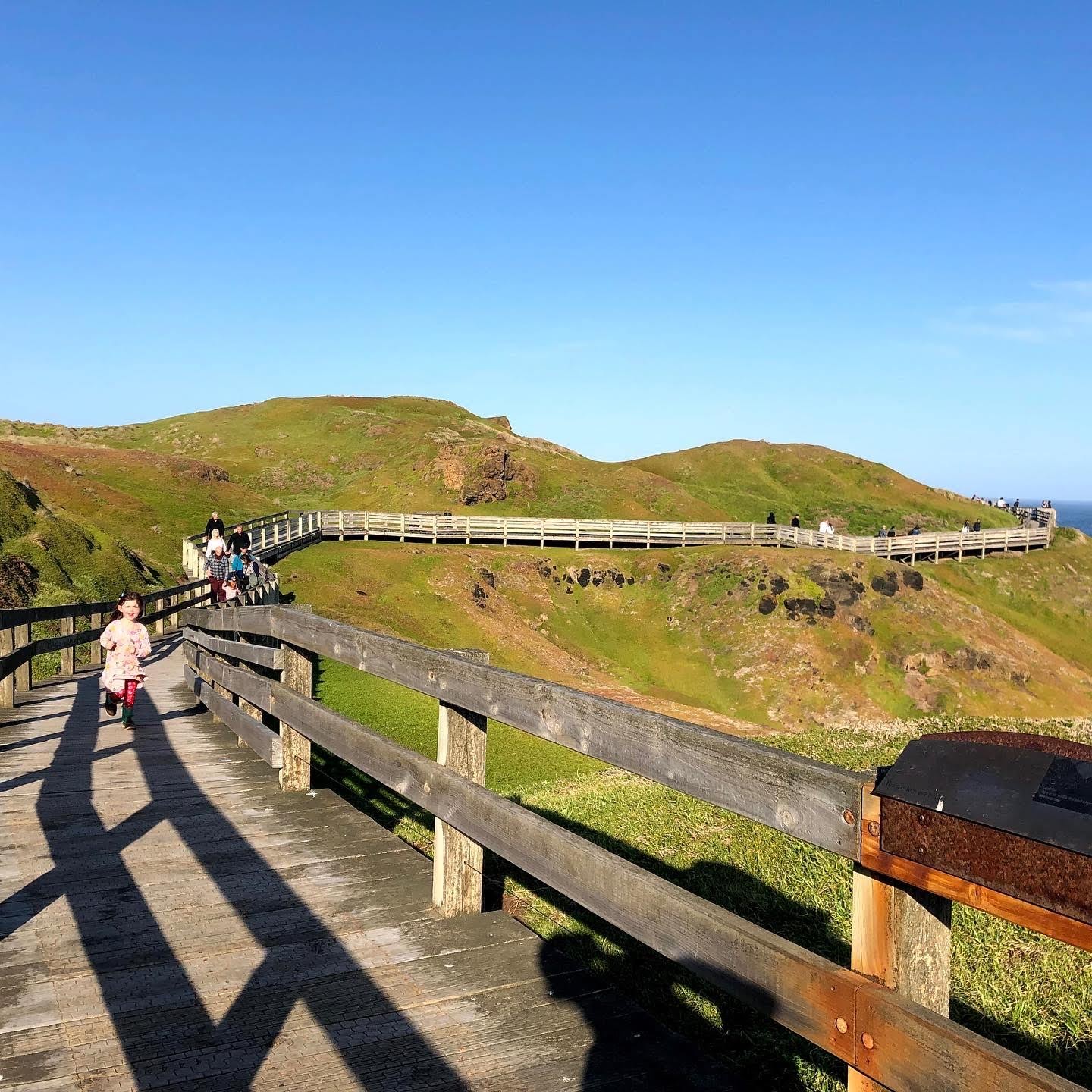Enchanting views at Phillip Island Nobbies boardwalk – Indi's Page